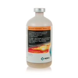 BOVILIS® Clostridial Vaccines - Merck Animal Health Canada