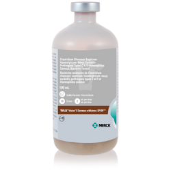 BOVILIS® Clostridial Vaccines