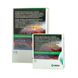 BOVILIS® Respiratory Vaccines