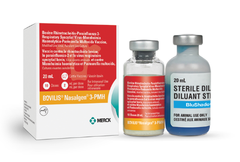 BOVILIS® Respiratory Vaccines