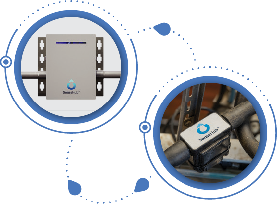 SenseHub® Dairy