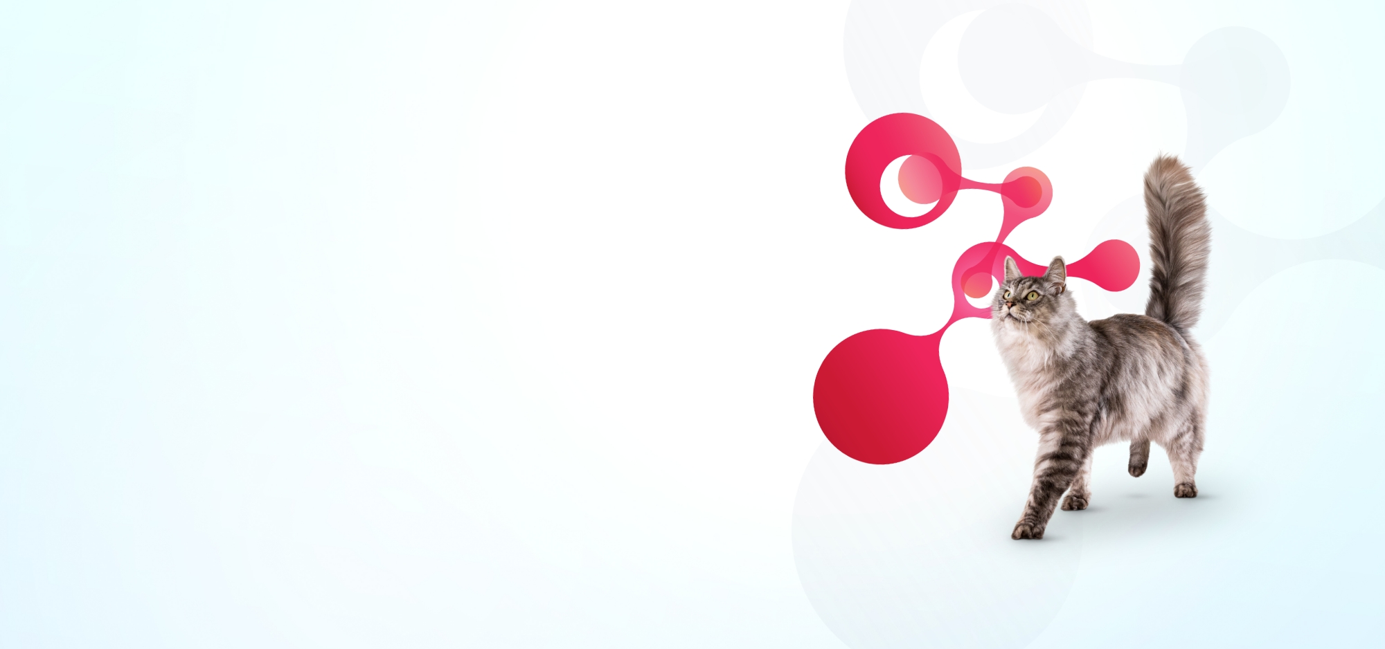 Merck Animal Health Canada