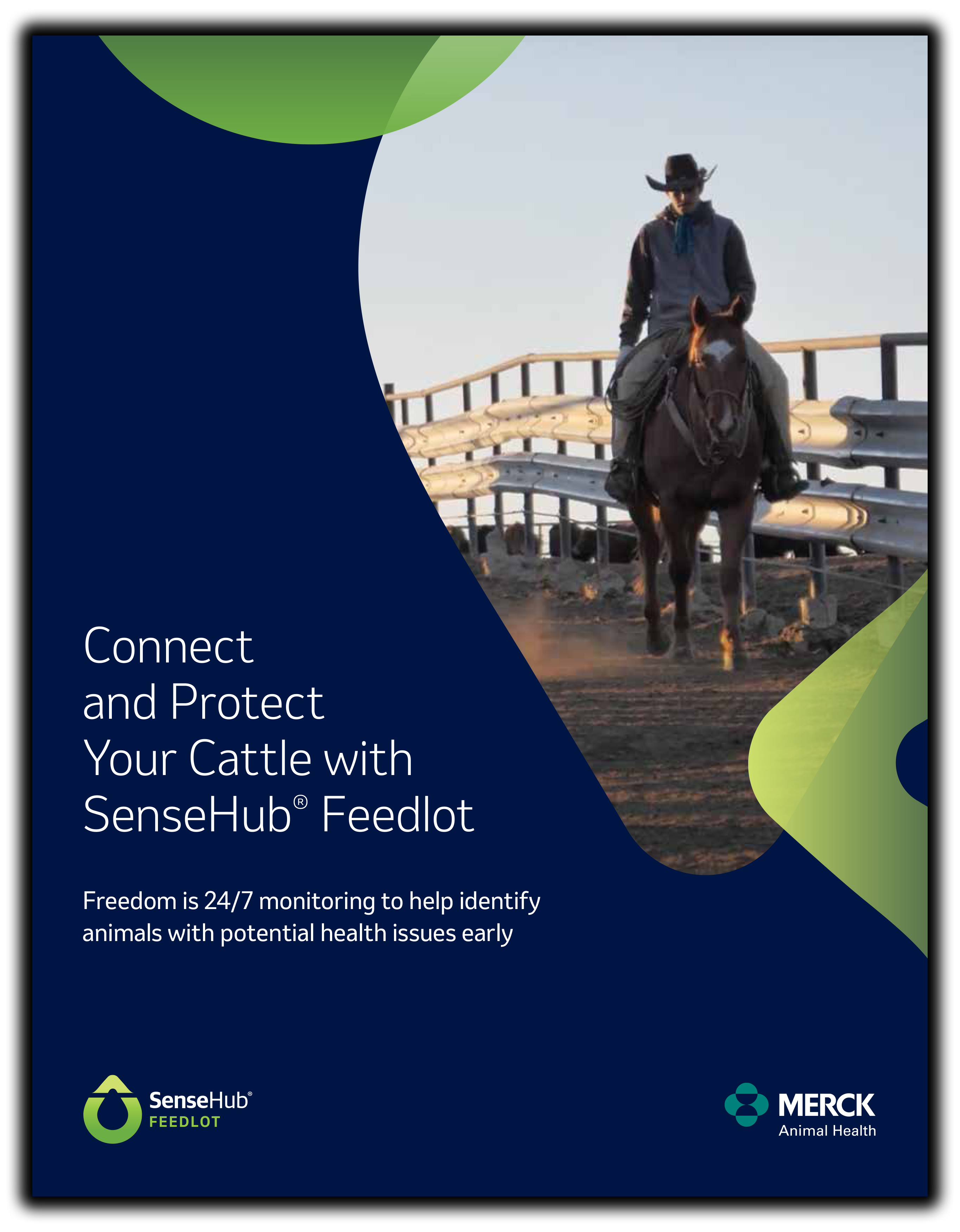 SenseHub® Feedlot
