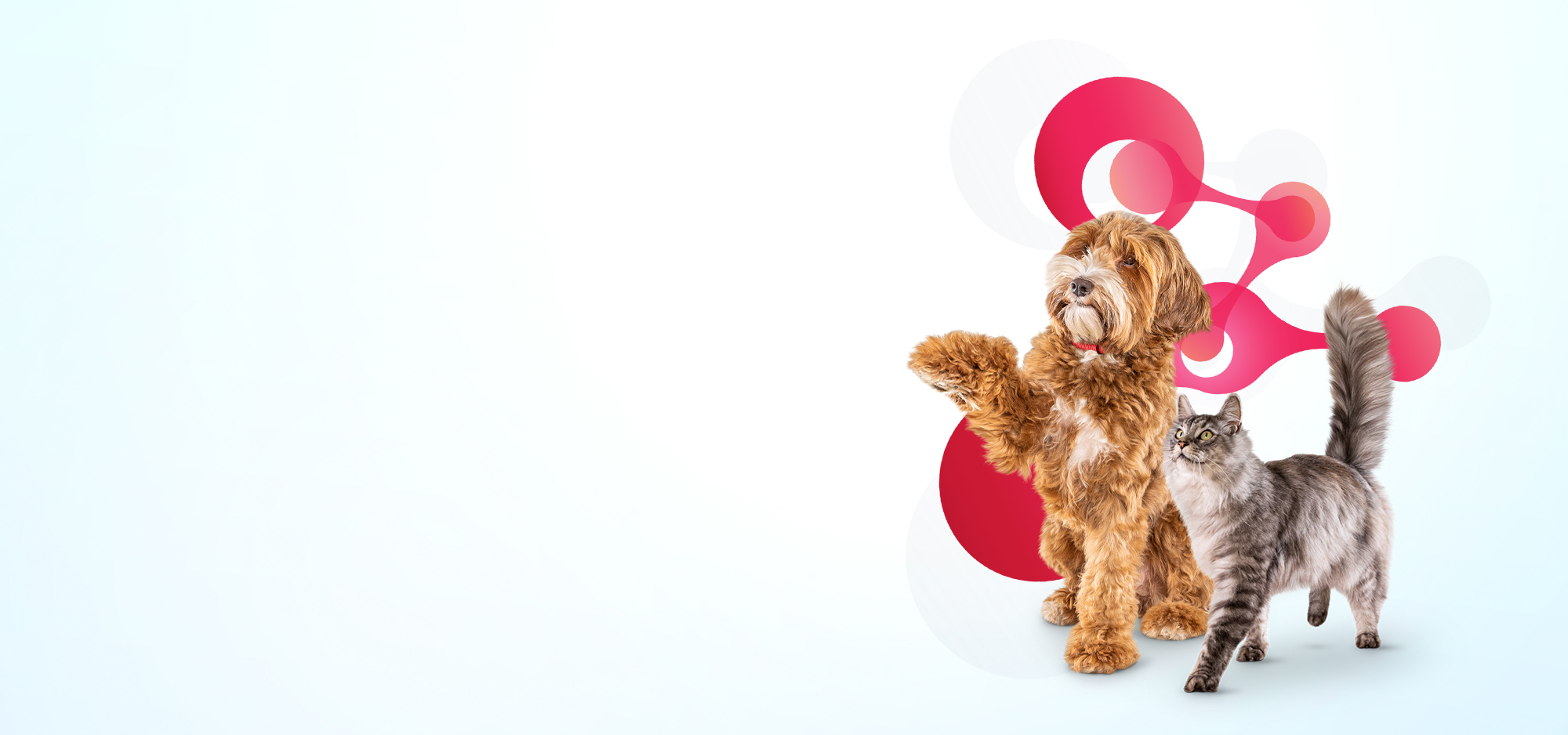 Merck Animal Health Canada