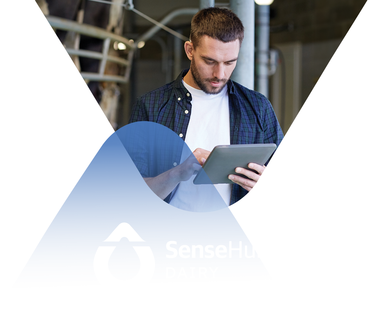 SenseHub® Dairy