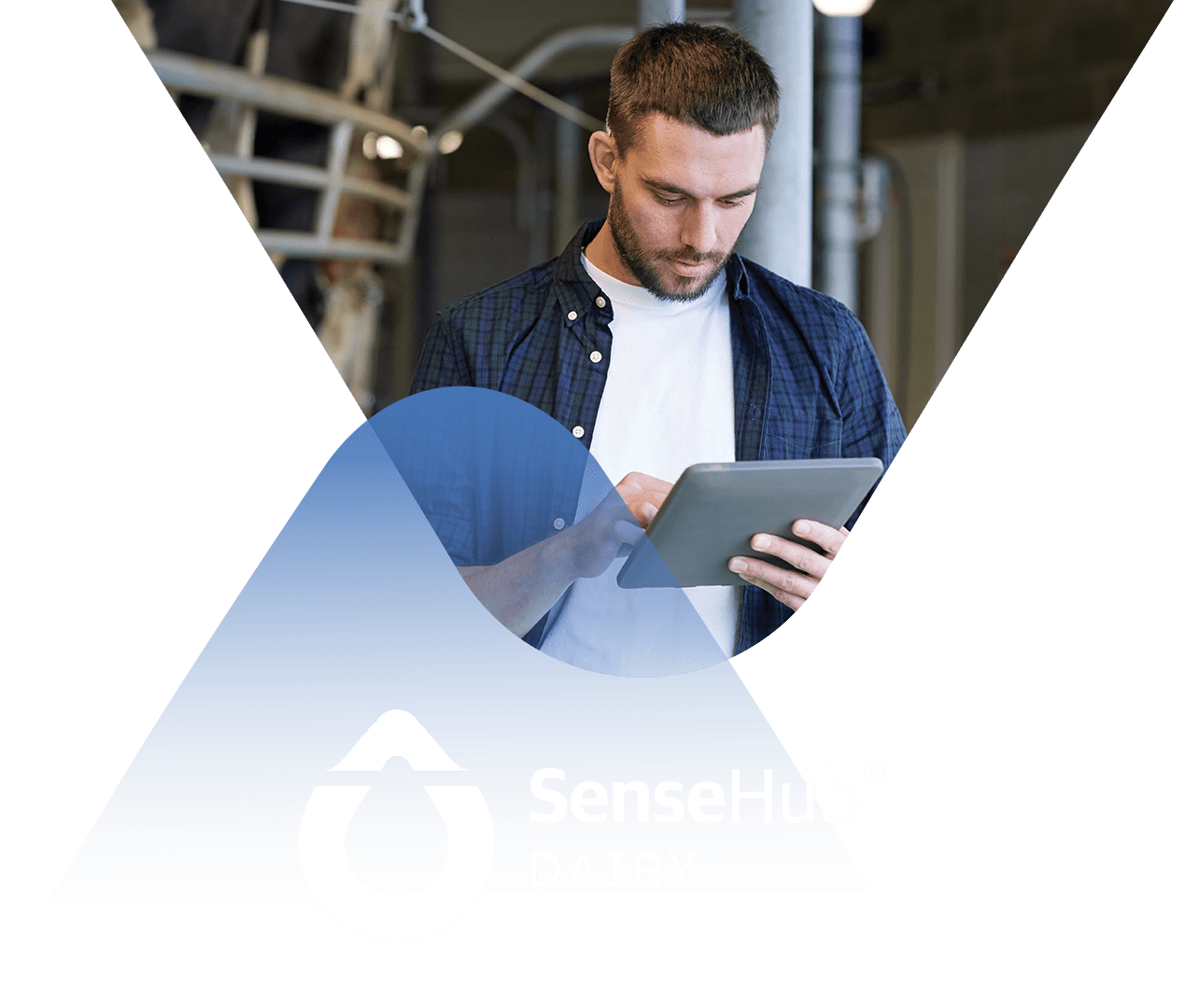 SenseHub® Dairy