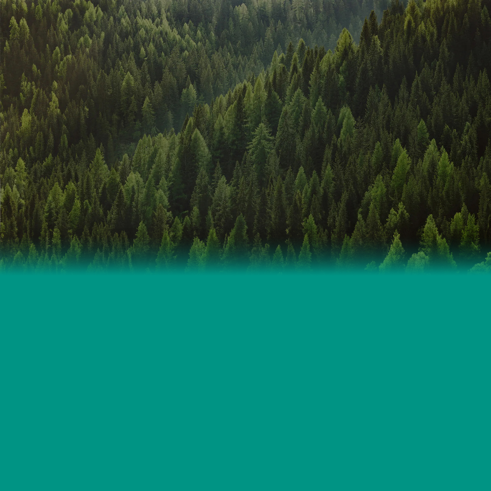 Merck Animal Health Canada