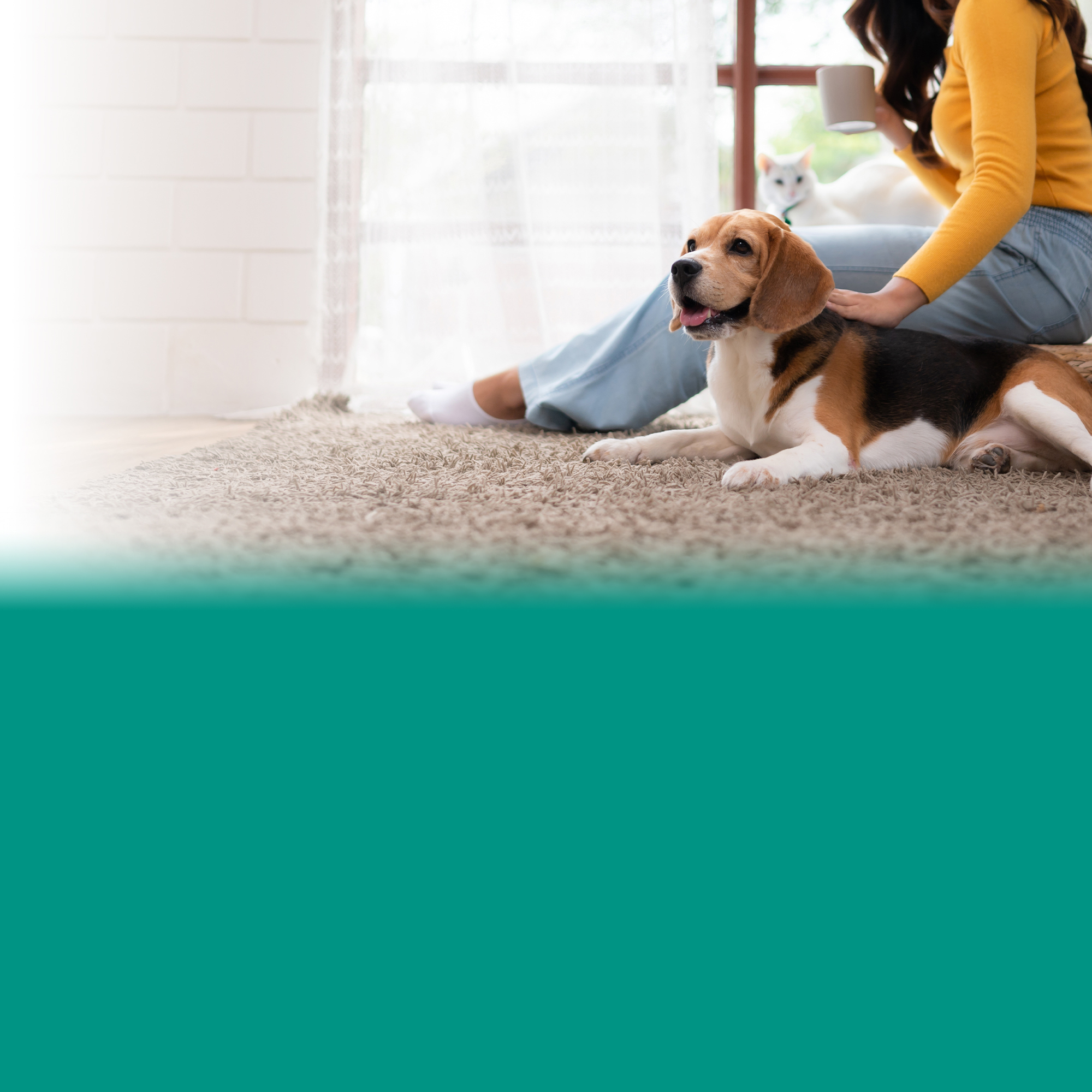 Merck Animal Health Canada